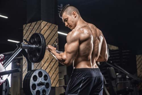 Hypertrophie musculaire : comment un muscle grossit